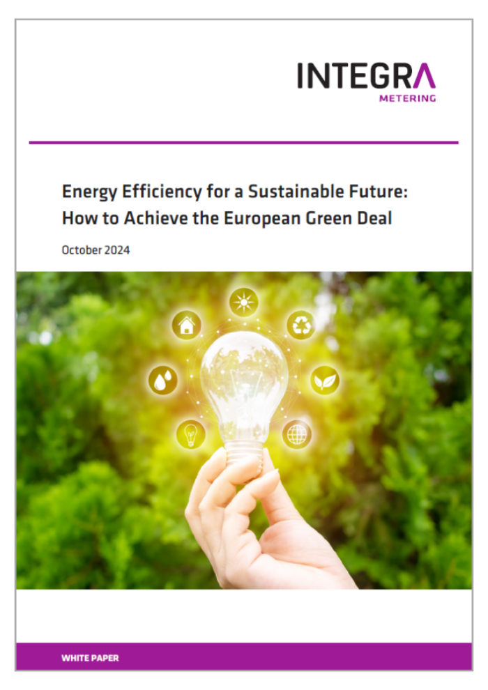White Paper: Energy Efficiency for a Sustainable Future | INTEGRA Metering